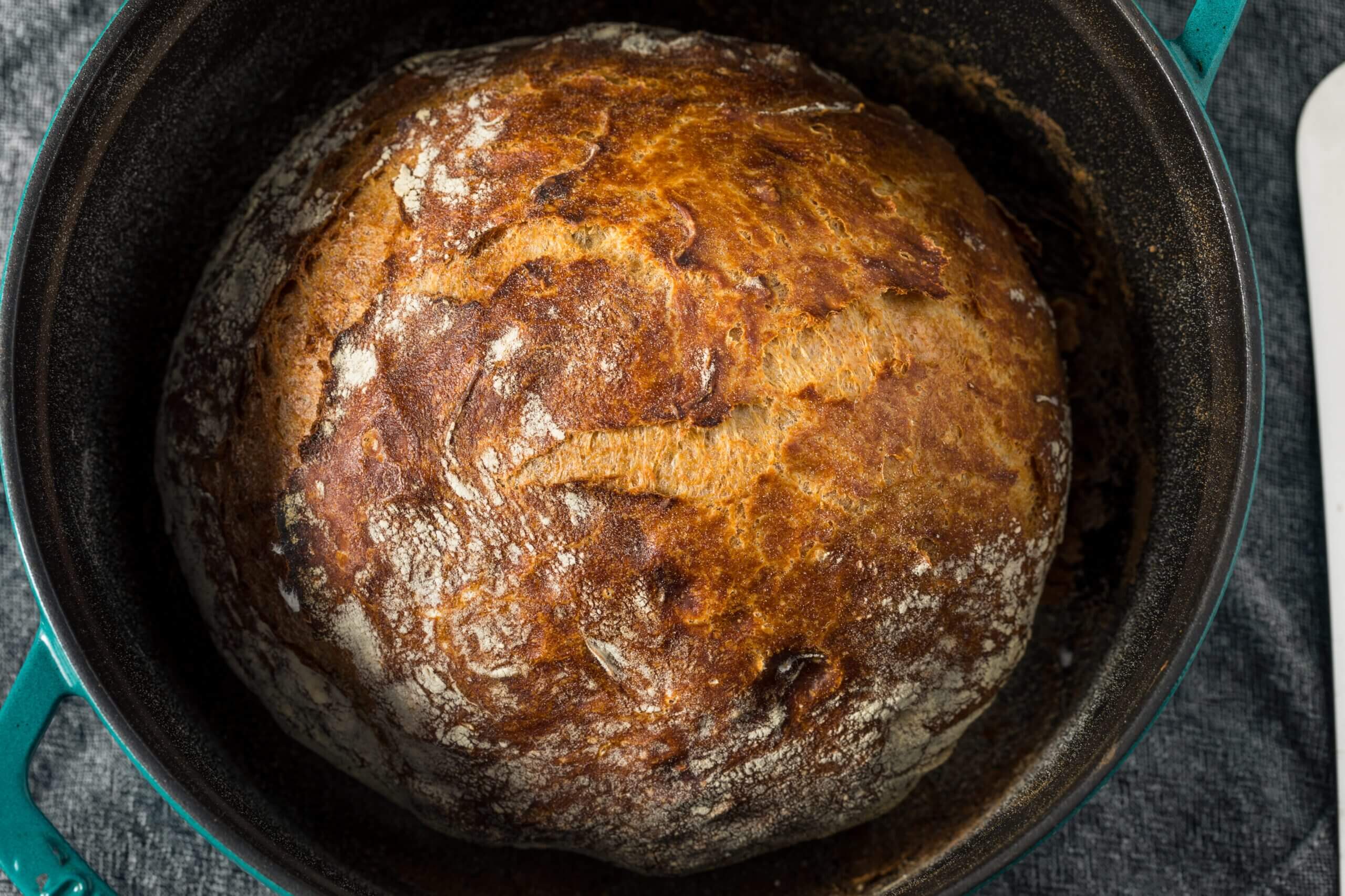 No knead rustic bread recipe | Amigo Ovens